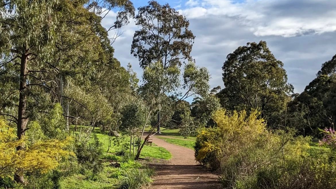 Traversing Melbourne's Unseen Beauty: 12 Nature Trails Off the Beaten ...
